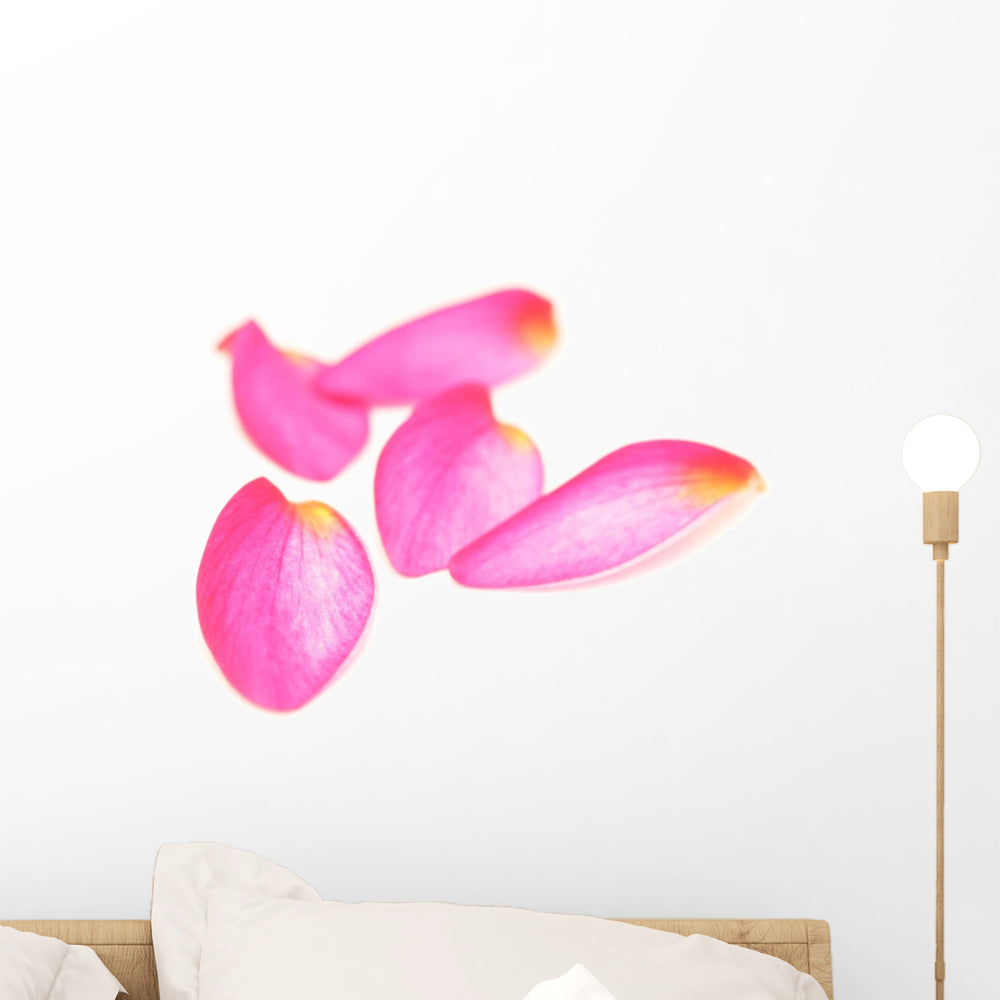 Petals Wall Decal – Wallmonkeys