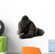 Young Silverback Gorilla Wall Decal – Wallmonkeys