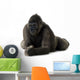 Young Silverback Gorilla Wall Decal – Wallmonkeys