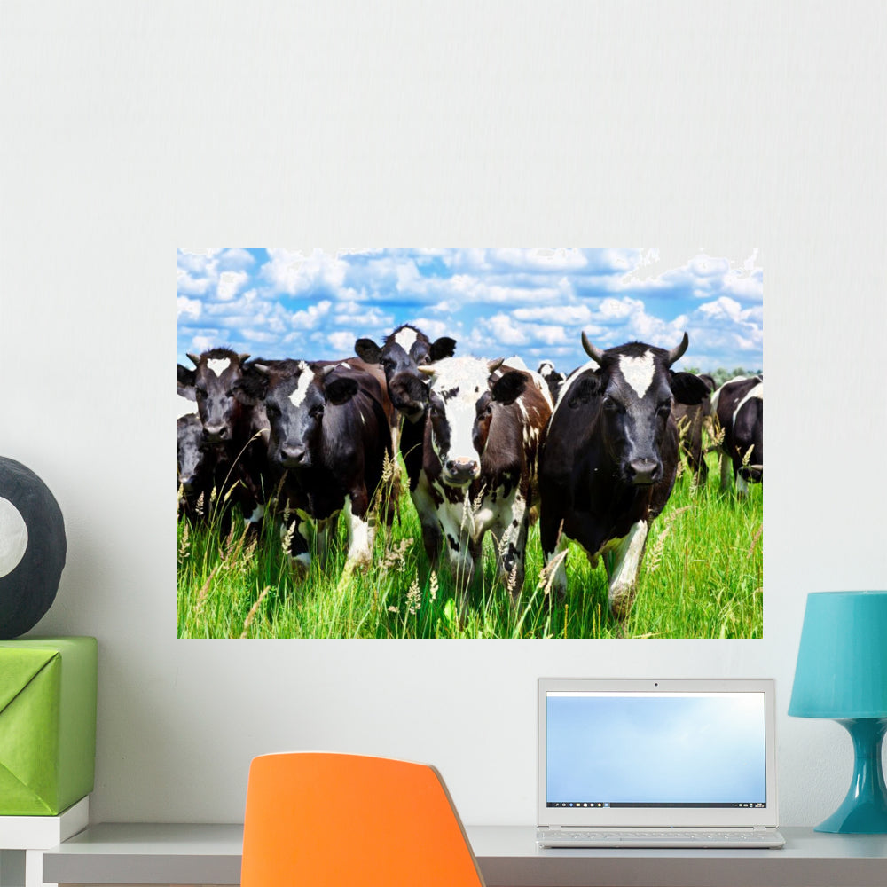 Cattle Wall Mural – Wallmonkeys