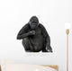 Young Silverback Gorilla Wall Decal – Wallmonkeys