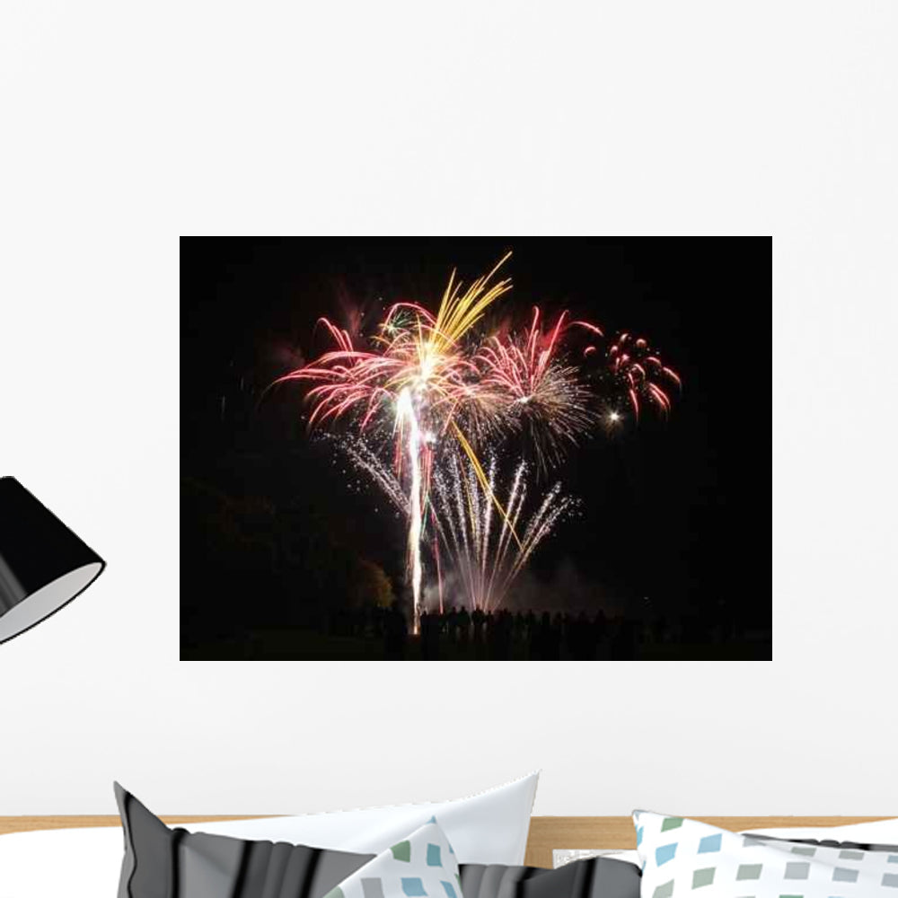 Firework Display Wall Decal - WallMonkeys.com – Wallmonkeys