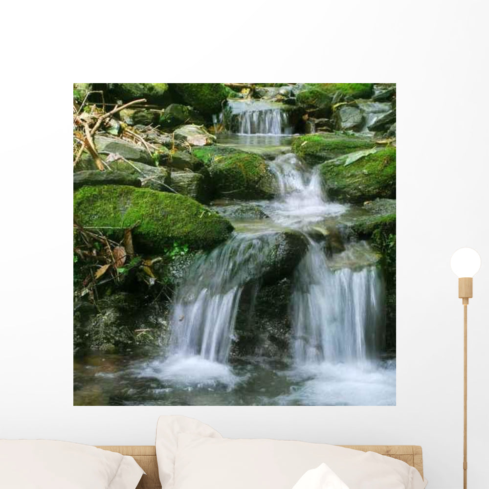 Fresh Forest Scene Wall Decal - WallMonkeys.com – Wallmonkeys
