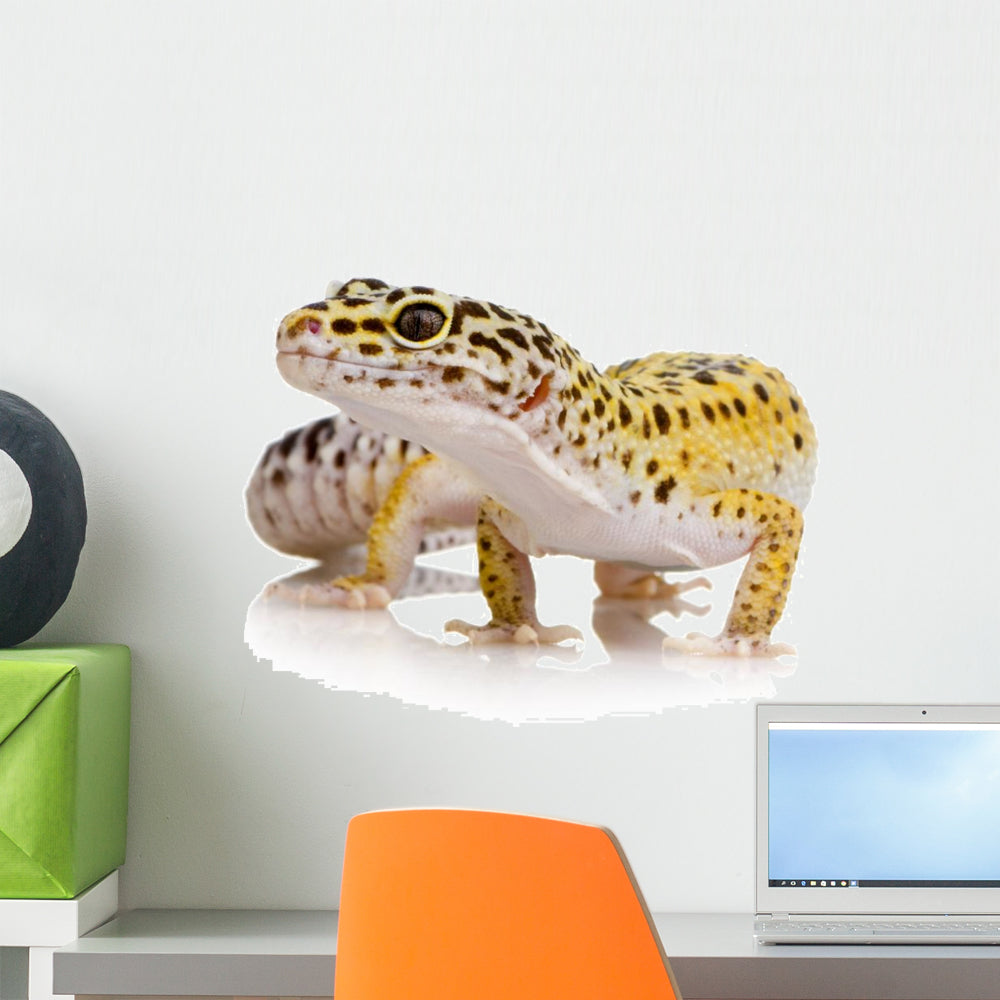Leopard Gecko Wall Decal – Wallmonkeys