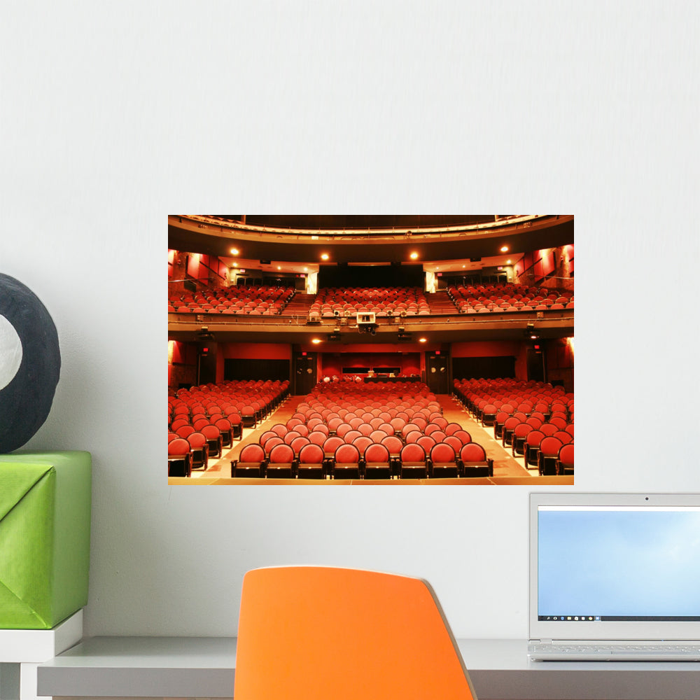 Theater Came Wall Mural – Wallmonkeys