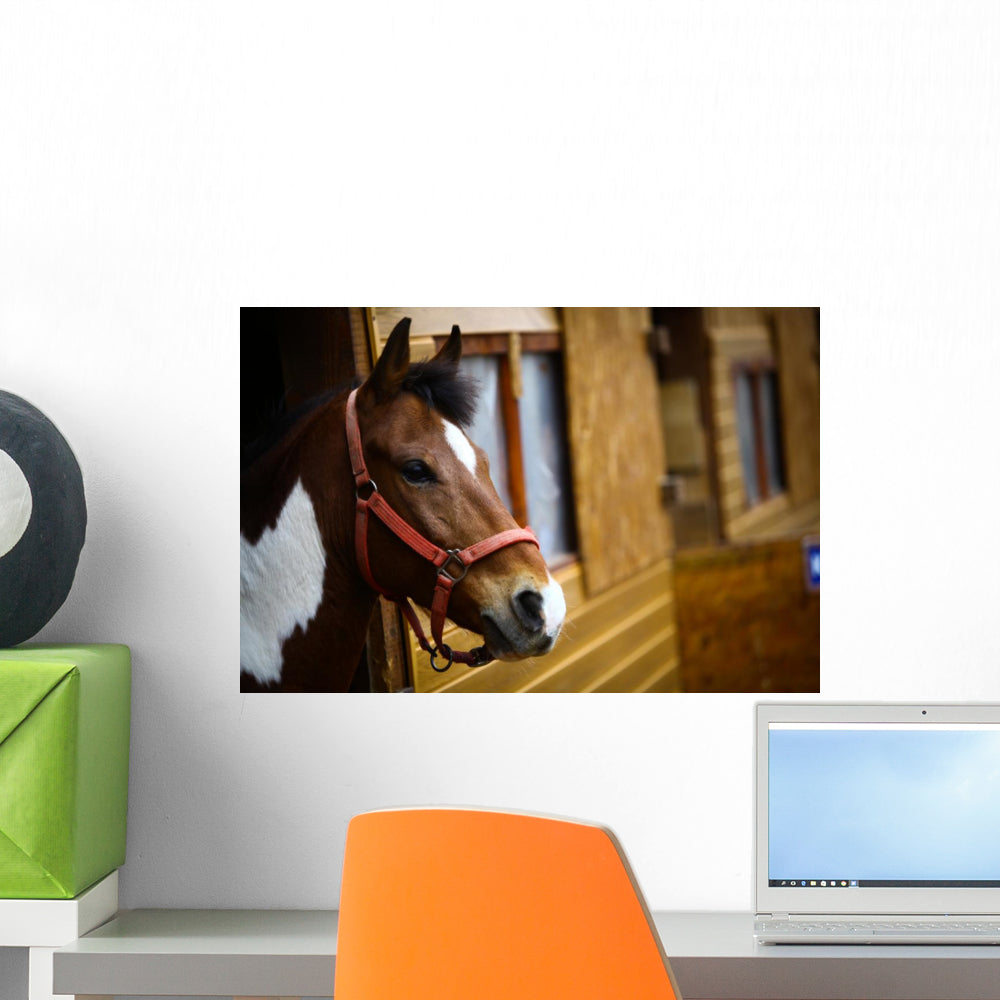 Horse – Wallmonkeys