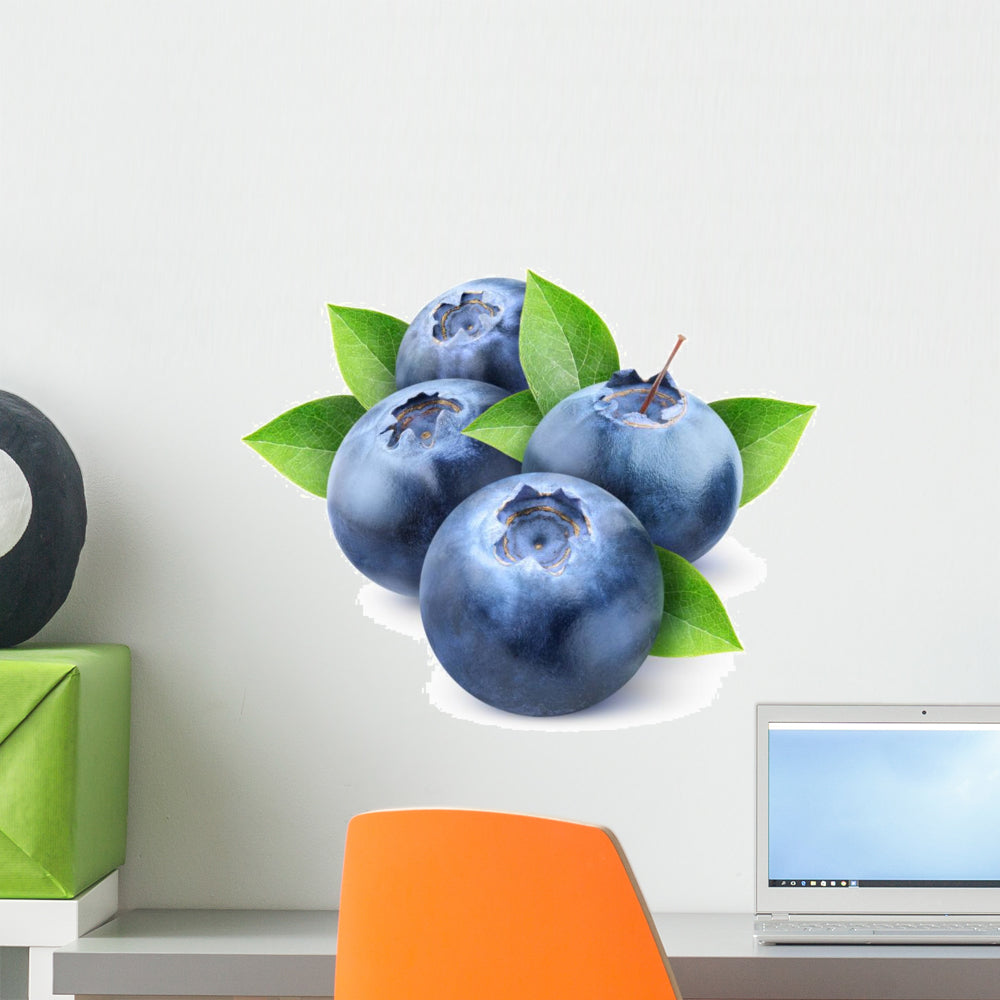 Fresh Blueberries Wall Decal – Wallmonkeys