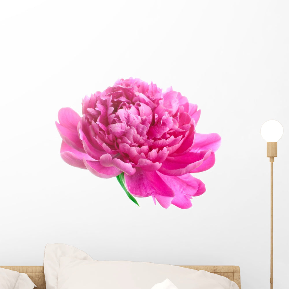 Pink Peony Wall Decal – Wallmonkeys