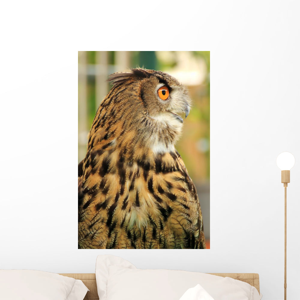 Owl Wall Mural – Wallmonkeys