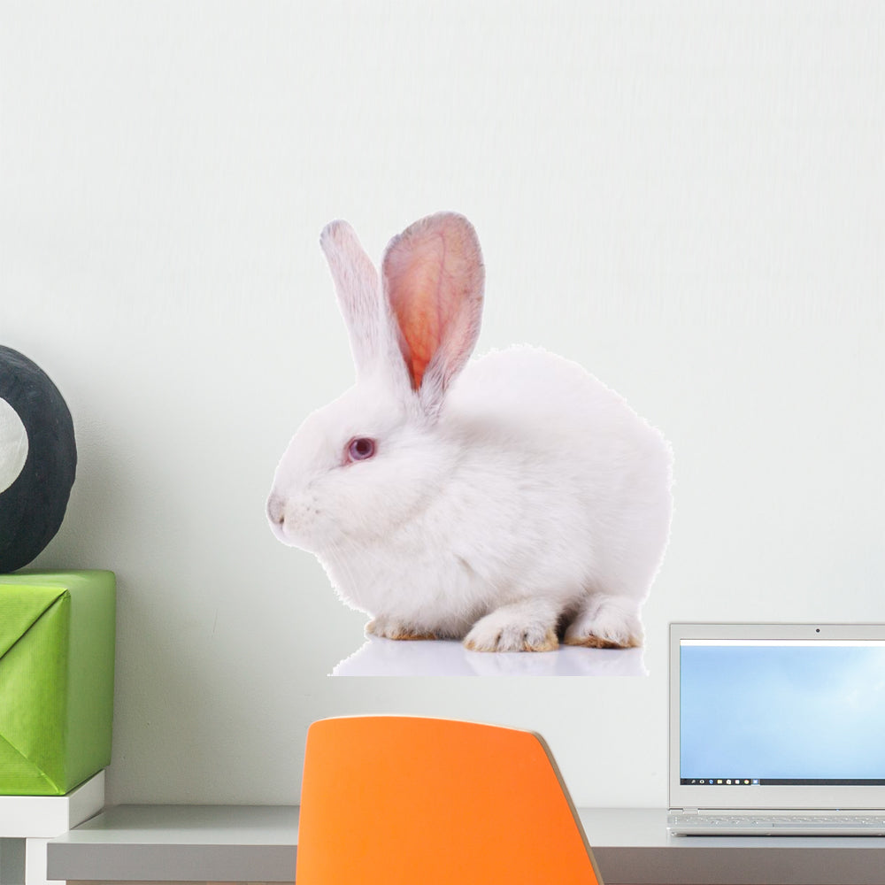Rabbit Wall Decal – Wallmonkeys