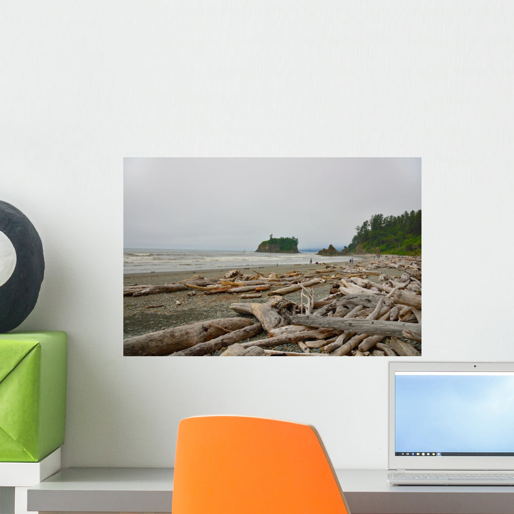 Drift Wood Ruby Beach Wall Decal - WallMonkeys.com – Wallmonkeys