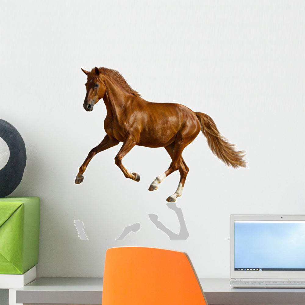 Chestnut Horse Wall Decal - WallMonkeys.com – Wallmonkeys