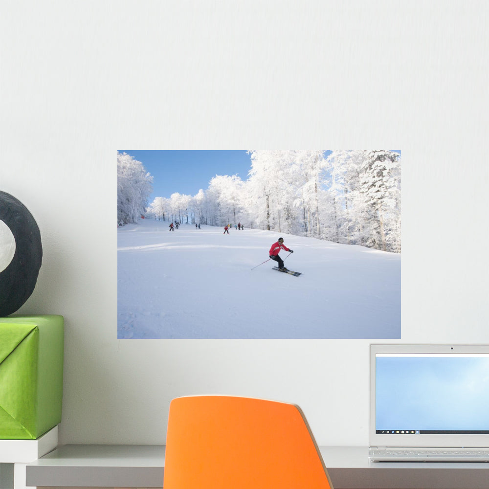Ski Slope Wall Decal - WallMonkeys.com – Wallmonkeys