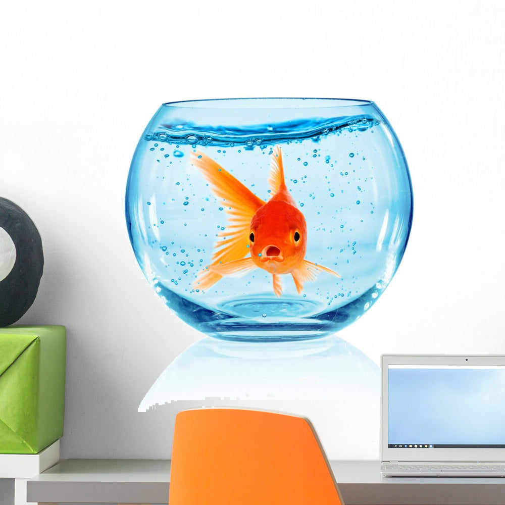 Goldfish Aquarium Wall Decal Design 2 - WallMonkeys.com – Wallmonkeys