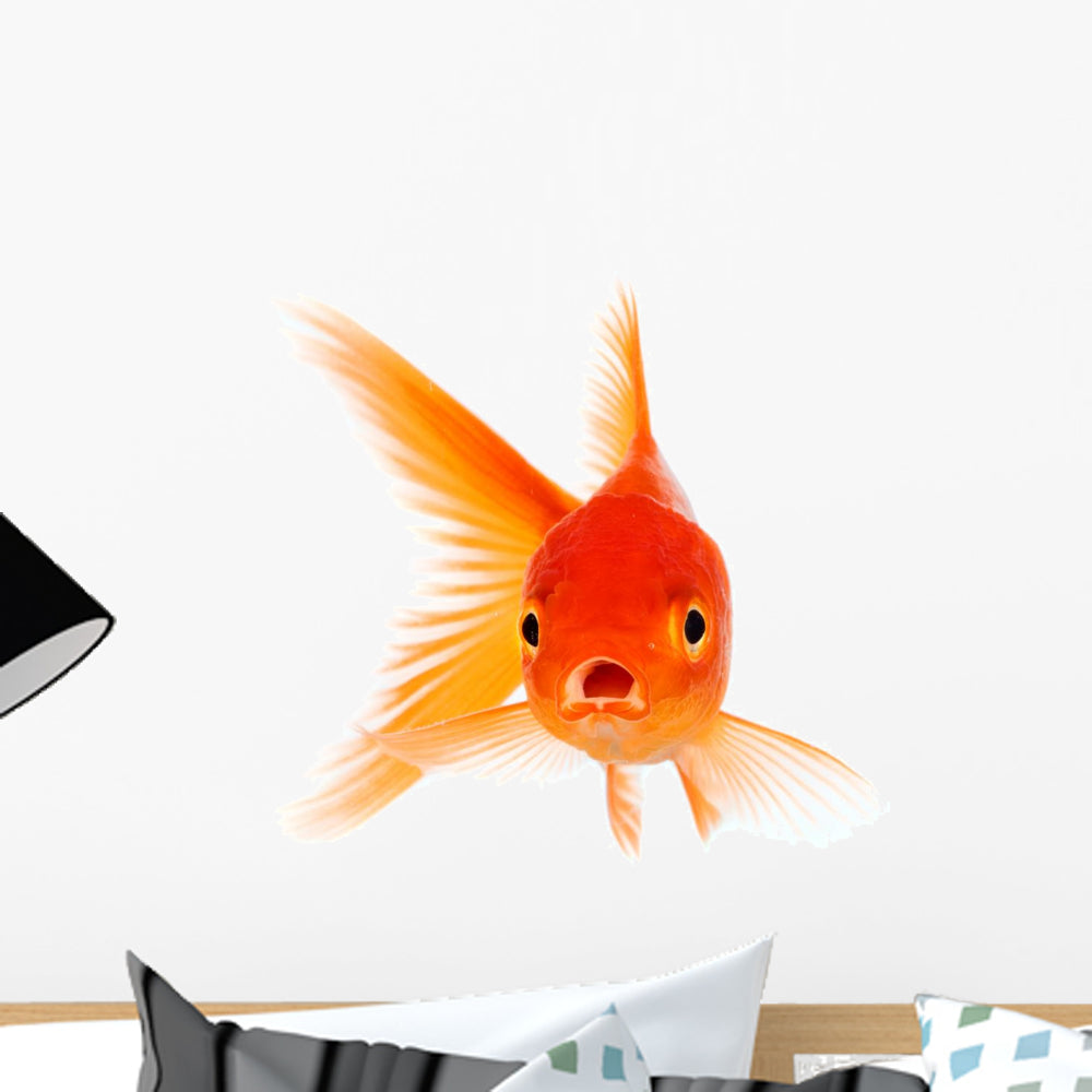 Goldfish Wall Decal Design 2 - WallMonkeys.com – Wallmonkeys