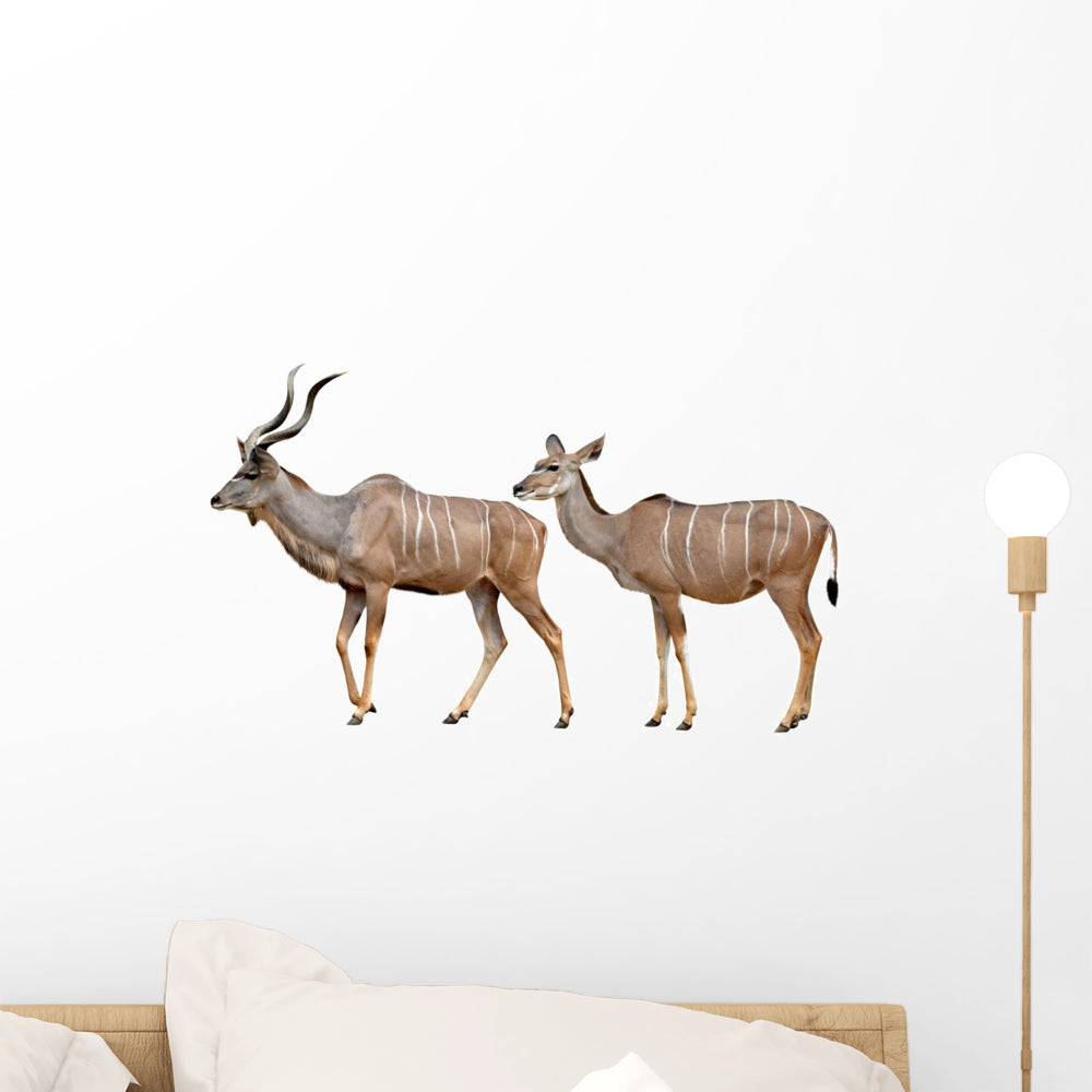 Greater Kudu White Wall Decal - WallMonkeys.com – Wallmonkeys