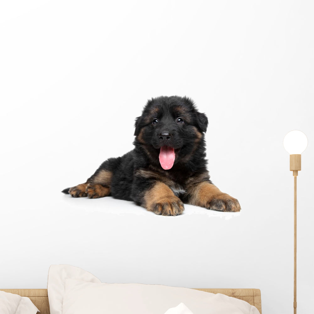 German Shepherd Puppy Wall Decal Design 2 - WallMonkeys.com – Wallmonkeys