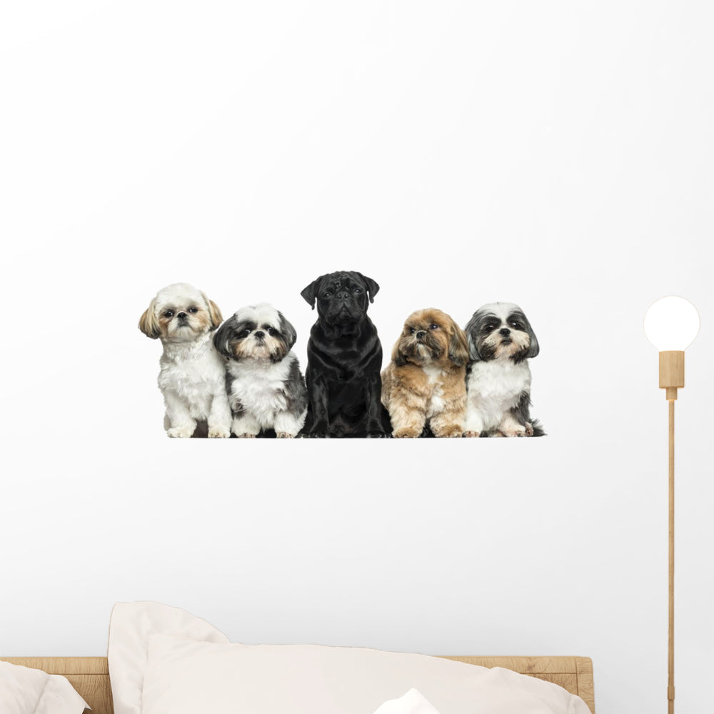 Front Dogs Row Sitting Wall Decal – Wallmonkeys