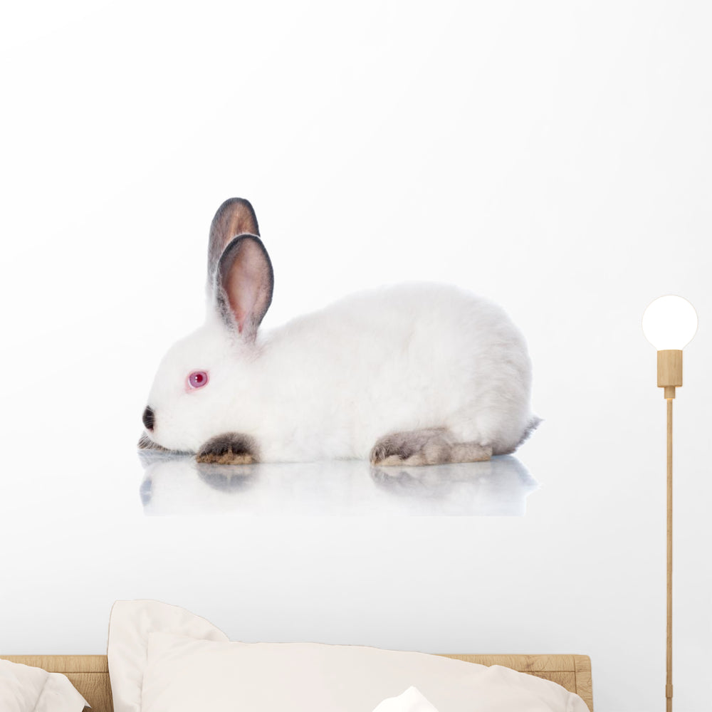 White Rabbit Wall Decal – Wallmonkeys
