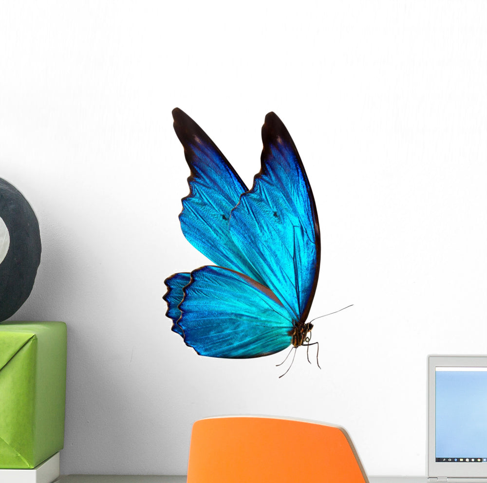 Blue Butterfly Macro Wall Decal – Wallmonkeys
