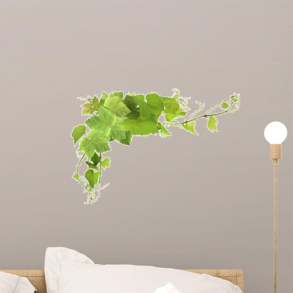 Vine Leaves Wall Decal – Wallmonkeys