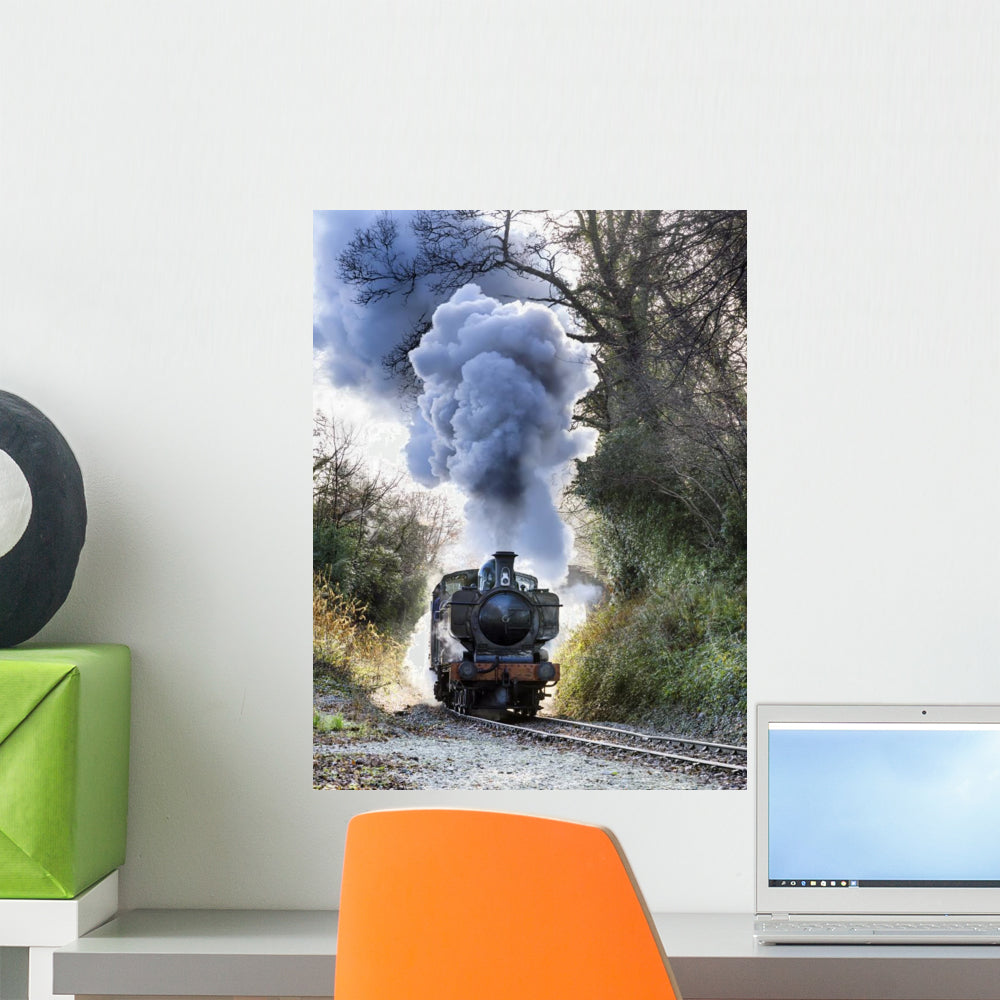 Steam Train Wall Mural – Wallmonkeys
