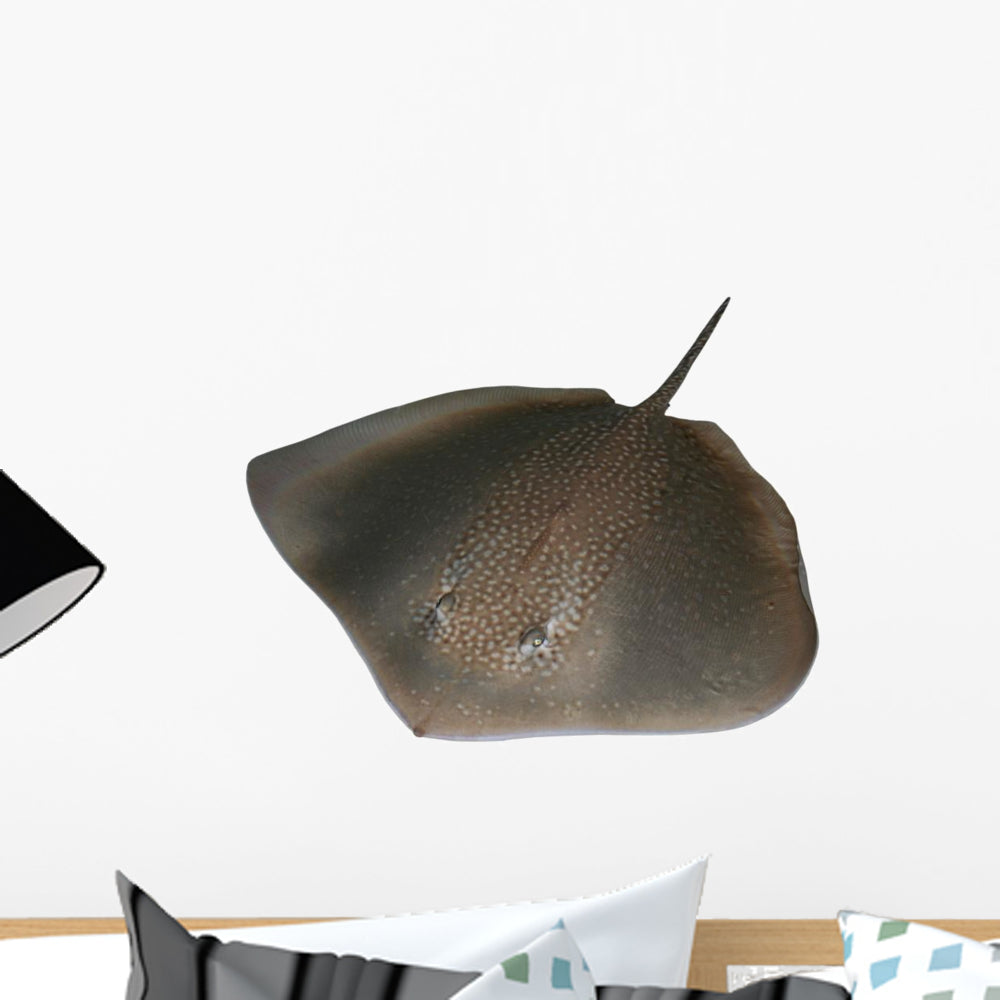 Stingray Wall Decal – Wallmonkeys