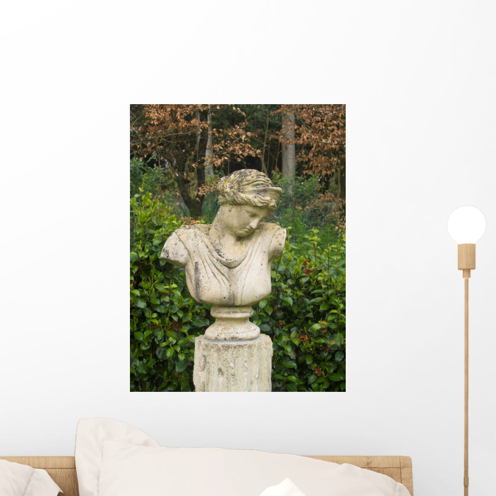 Bust Female Classical Figure Wall Mural – Wallmonkeys