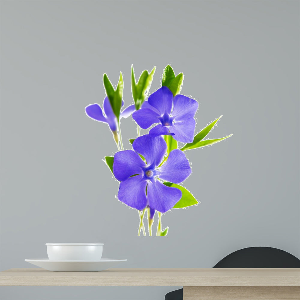 Flower Periwinkle – Wallmonkeys