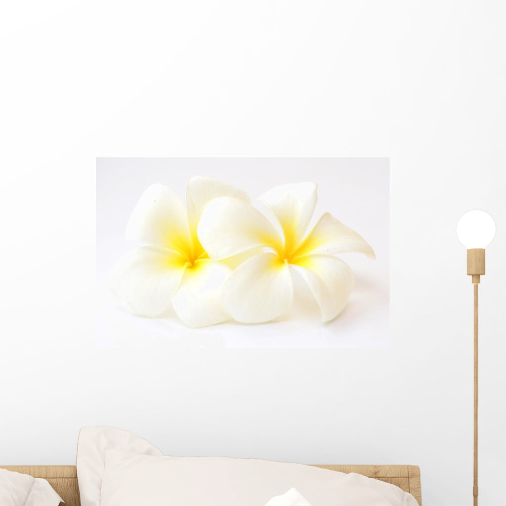 Frangipani Flowers Wall Decal – Wallmonkeys