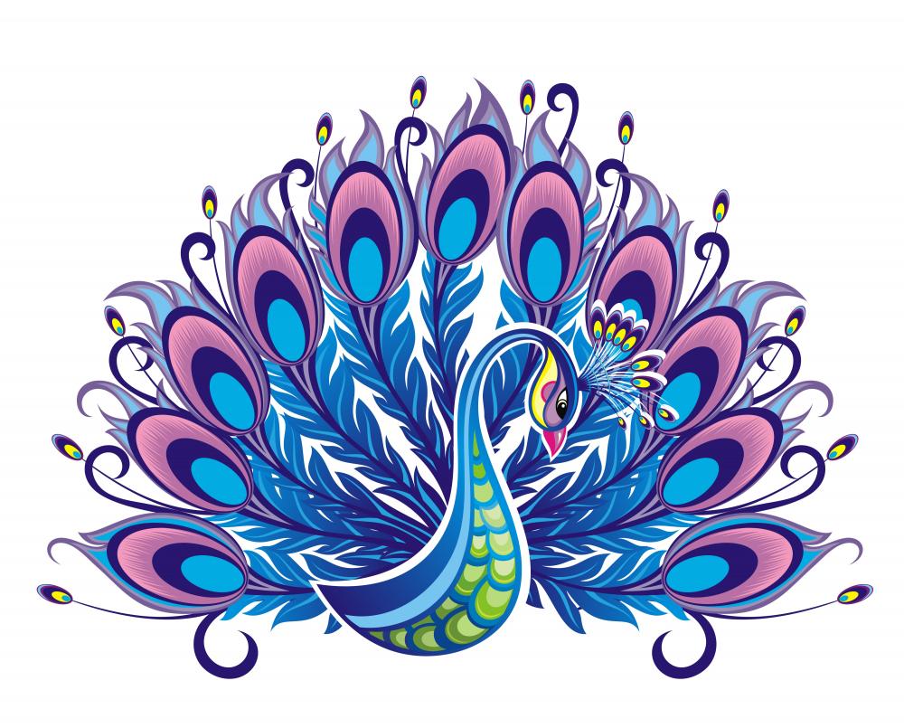 Beautiful Blue Peacock Wall Decal – Wallmonkeys