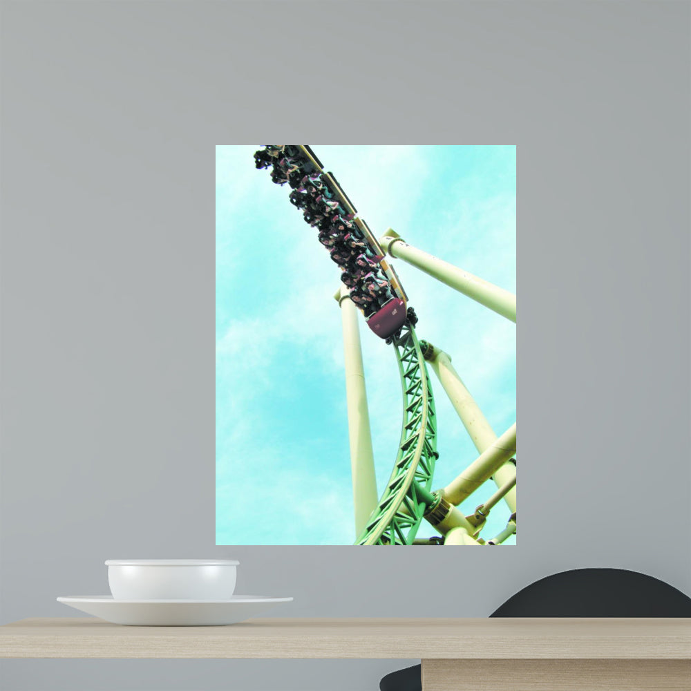 Roller Coaster Wall Mural – Wallmonkeys