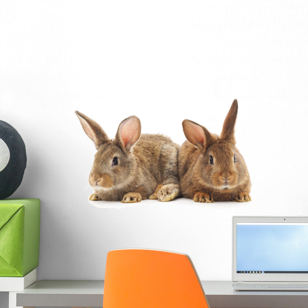 Rabbits Wall Decal – Wallmonkeys