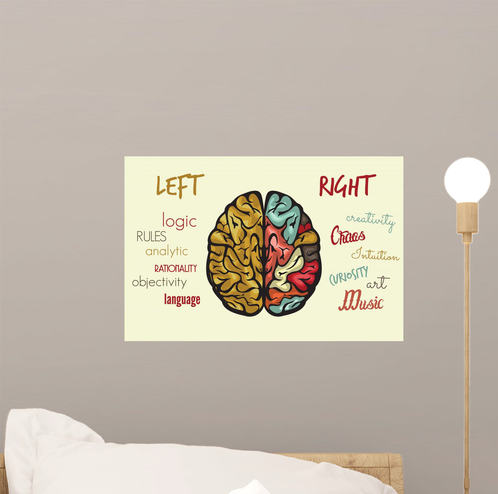 Brain Function Wall Mural – Wallmonkeys