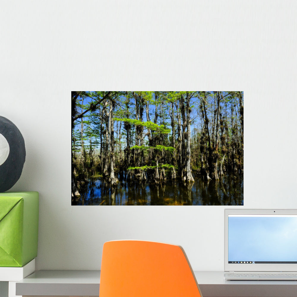 Everglades National Park – Wallmonkeys