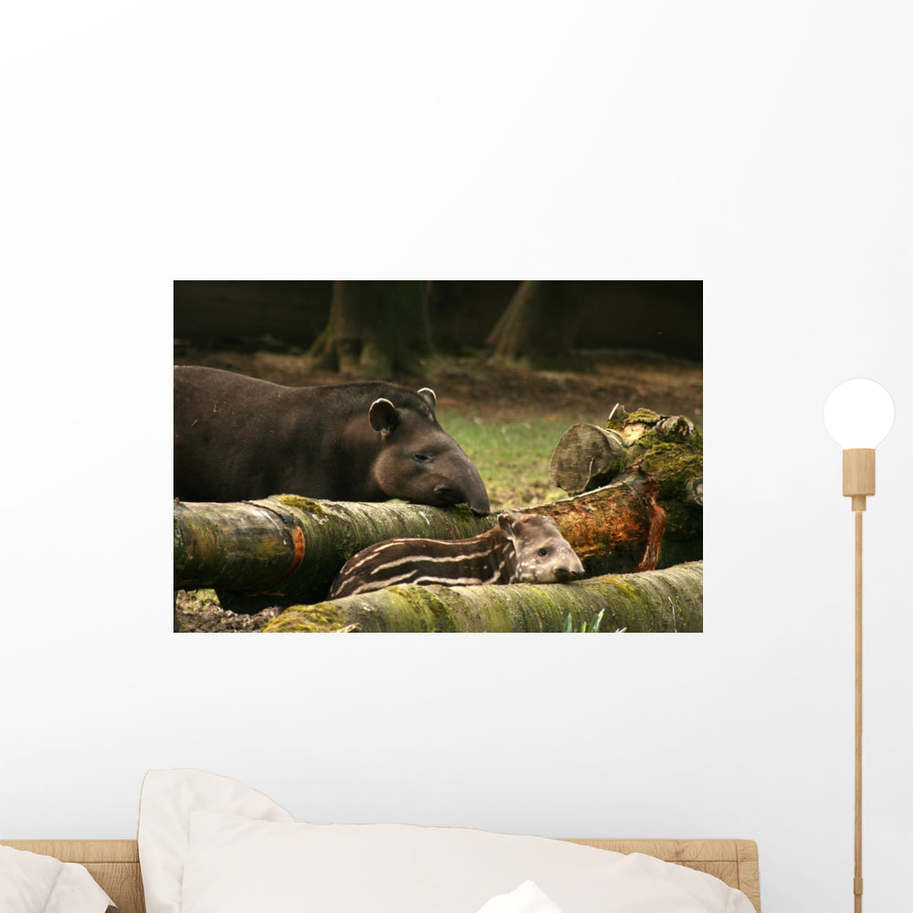 Tapir Baby with His Wall Mural – Wallmonkeys