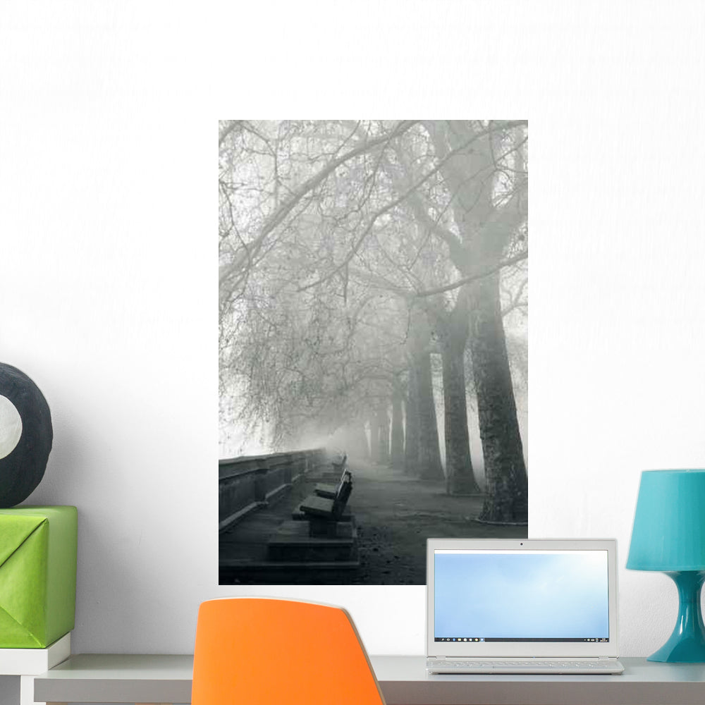 Fog Wall Decal - WallMonkeys.com – Wallmonkeys