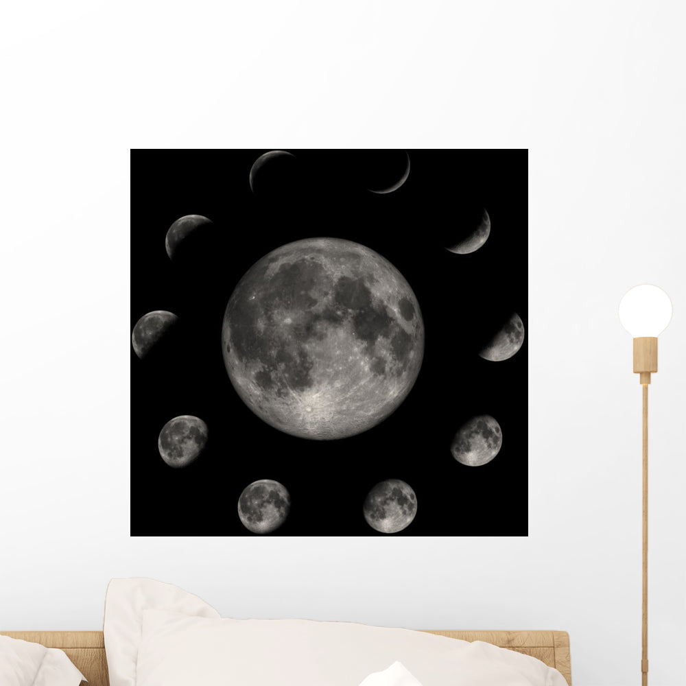 Moon Phases Wall Mural – Wallmonkeys