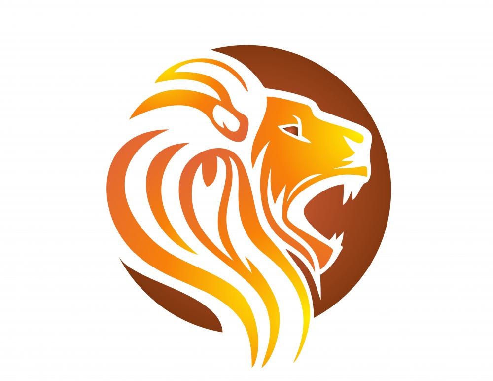 Lion Logo Design Clipart