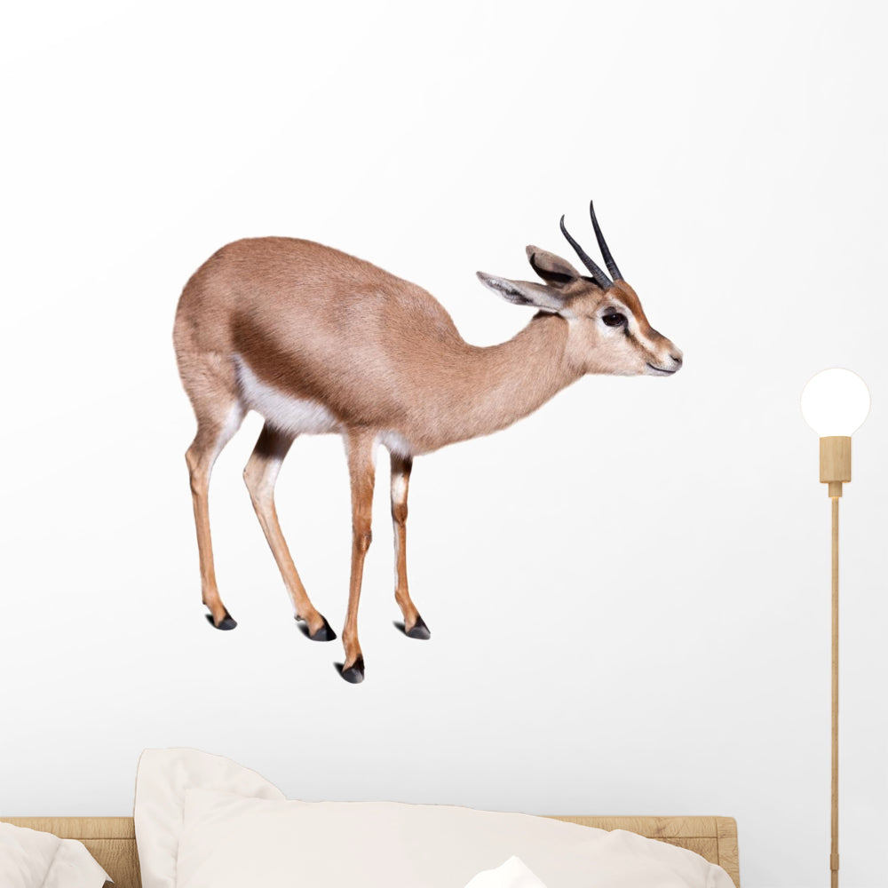 Gazelle Wall Decal – Wallmonkeys
