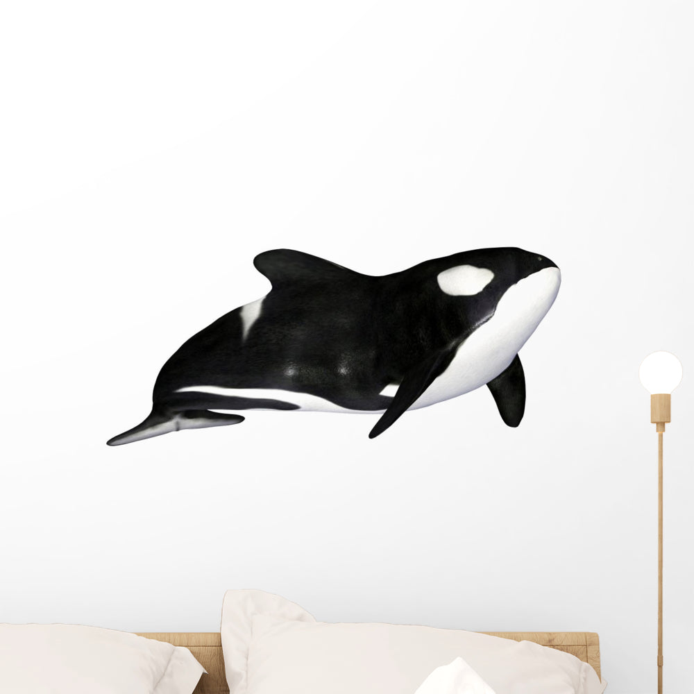 Illustration Orca White Wall Mural – Wallmonkeys