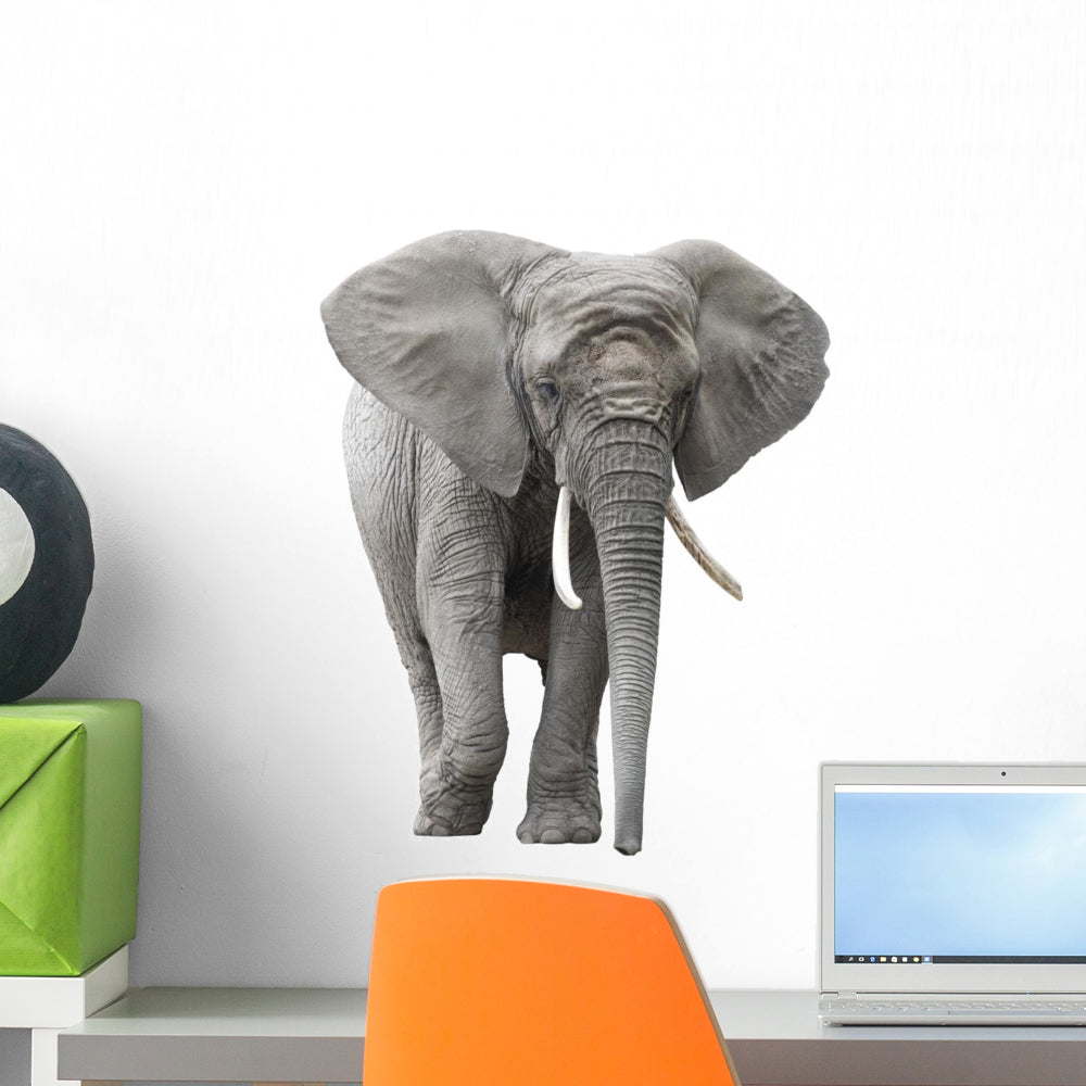 African Elephant Wall Decal – Wallmonkeys
