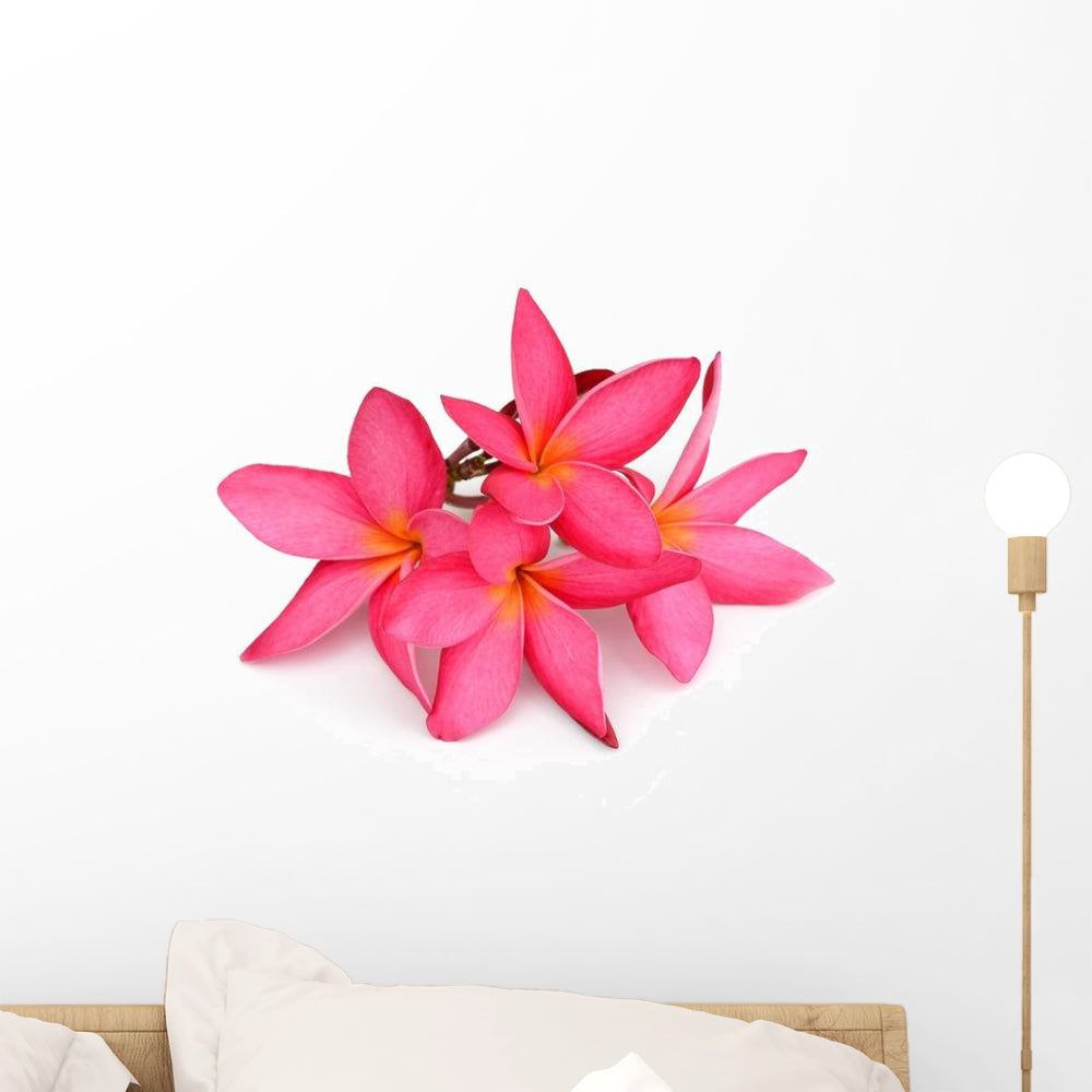 Tropical Flowers Frangipani Plumeria Wall Decal - WallMonkeys.com ...