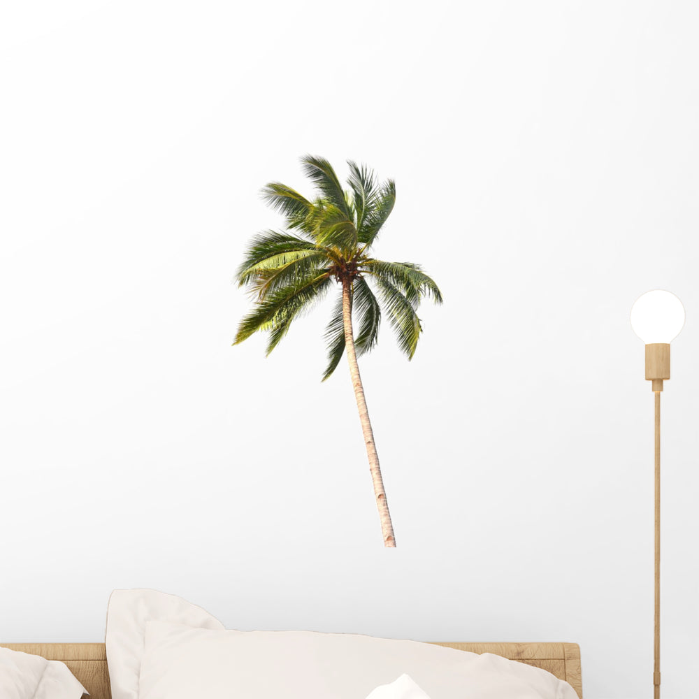 Coconut Tree Wall Decal – Wallmonkeys