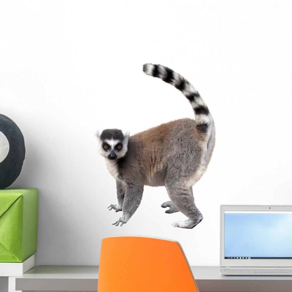 Lemur Wall Decal - WallMonkeys.com – Wallmonkeys