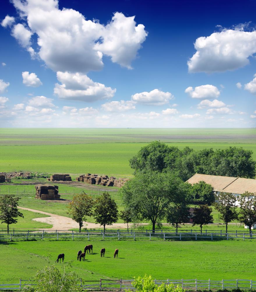 Paddock Wall Decal - WallMonkeys.com – Wallmonkeys