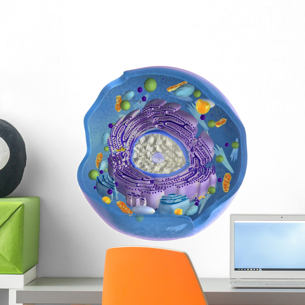 Animal Cell Wall Decal - WallMonkeys.com – Wallmonkeys