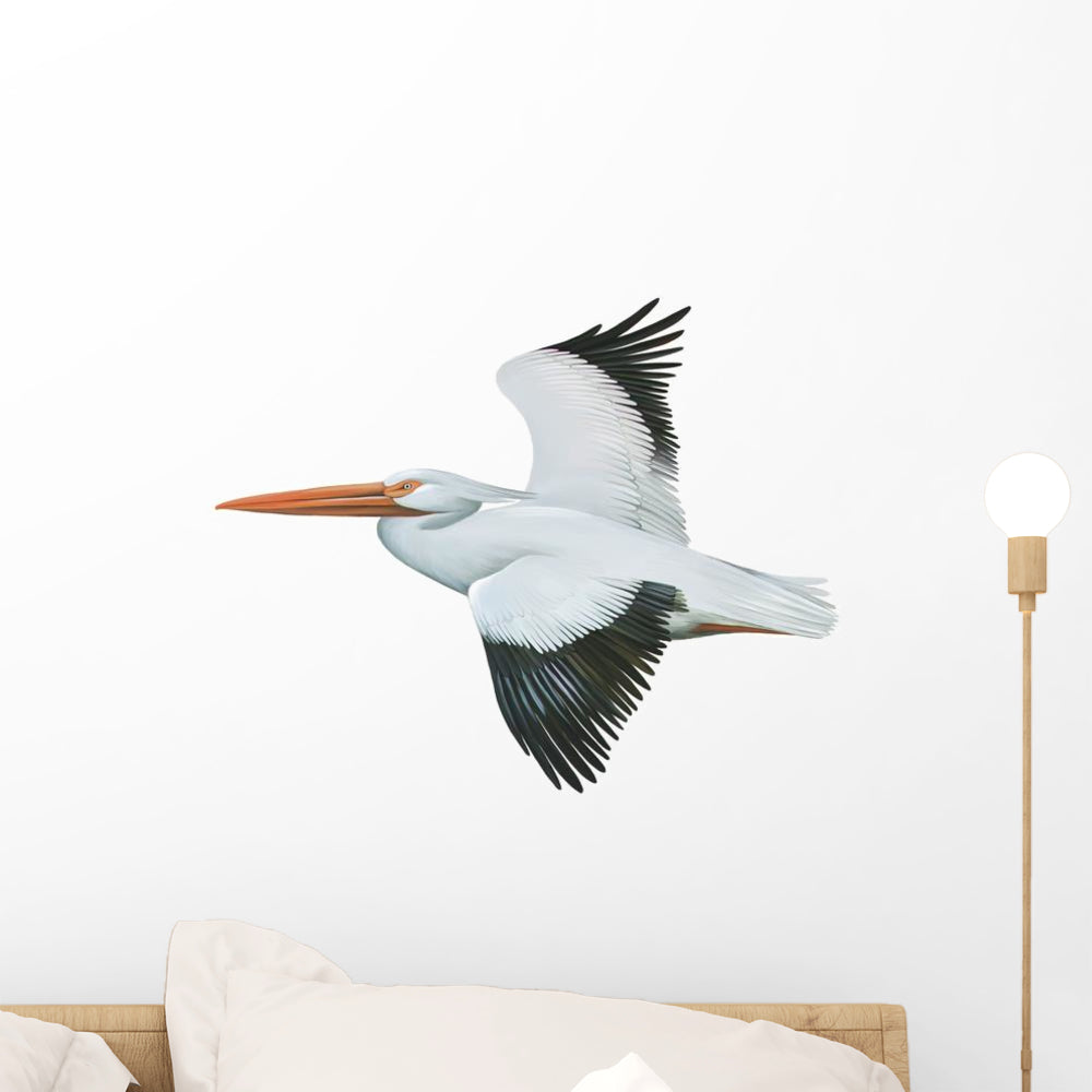 American White Pelican Wall Decal - WallMonkeys.com – Wallmonkeys