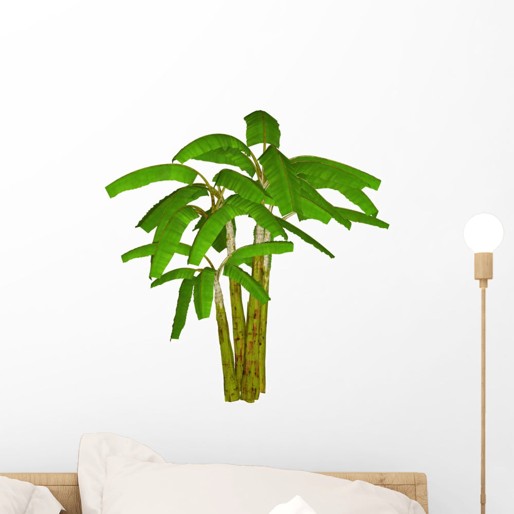 Banana Tree Wall Decal - WallMonkeys.com – Wallmonkeys