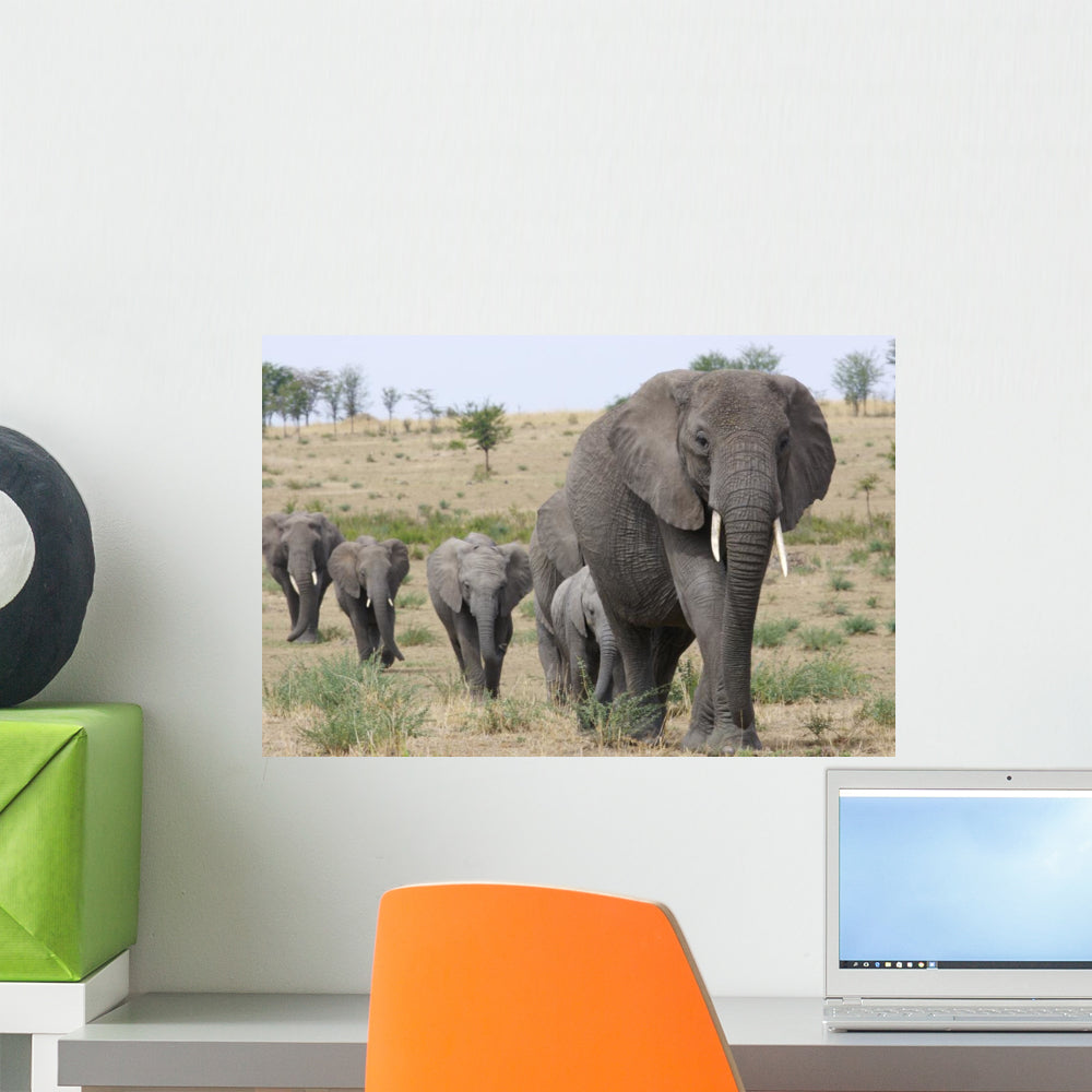 African Elephants Wall Decal - WallMonkeys.com – Wallmonkeys